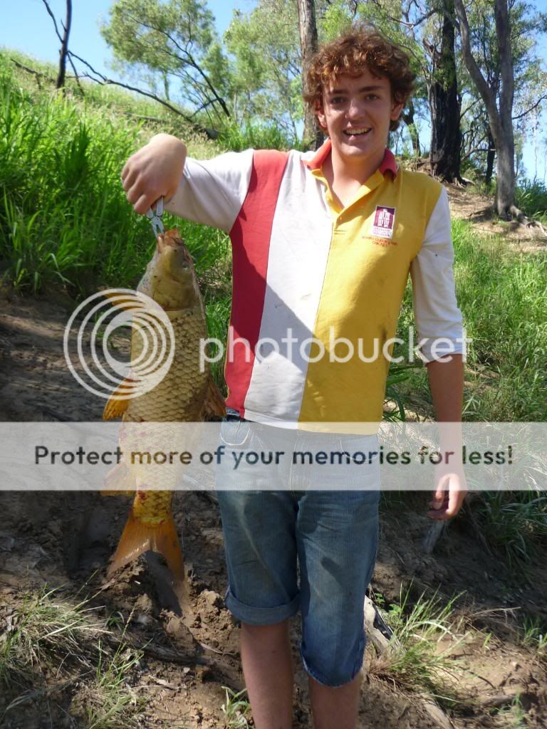 15 Pound Carp, Its a big one - Freshwater - Australian Fishing Online